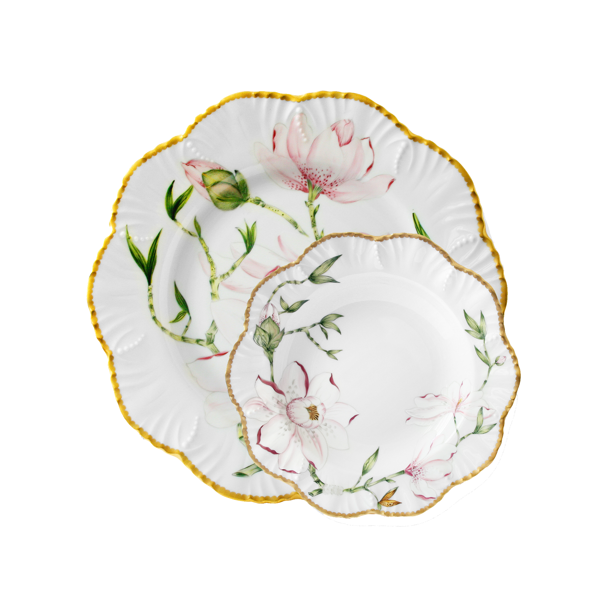 Magnolia